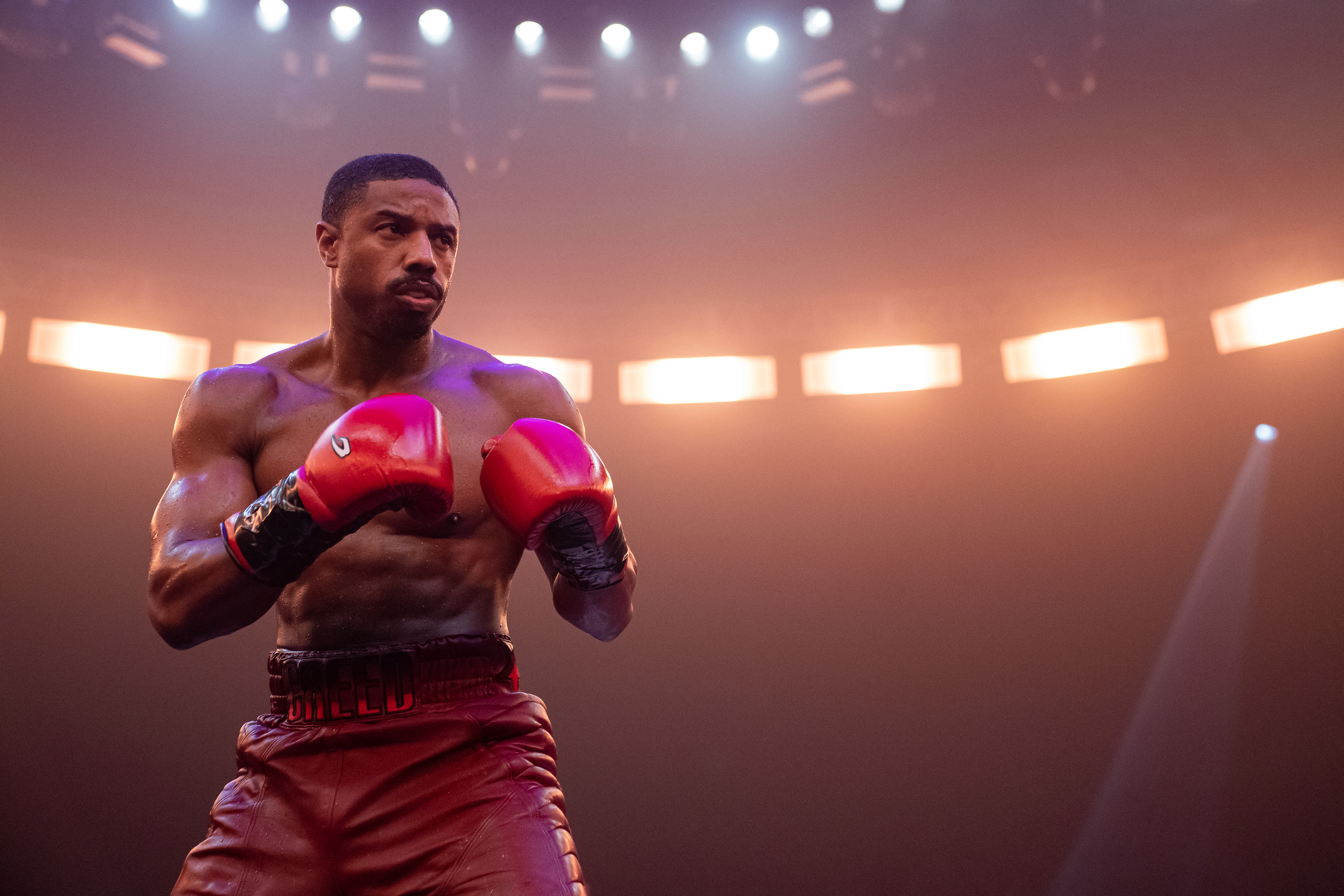 Is Creed 3 Streaming on Prime Video, Netflix, HBO Max, or Disney Plus ...