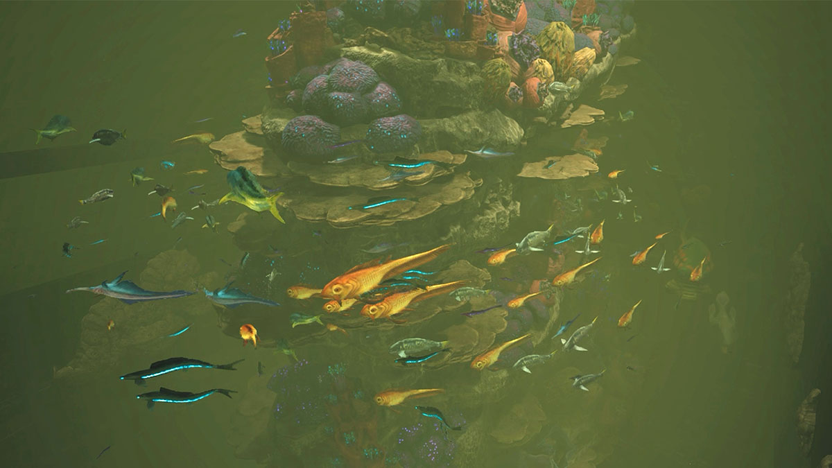 Star Wars Jedi: Survivor: How to Clean the Aquarium - GameRevolution