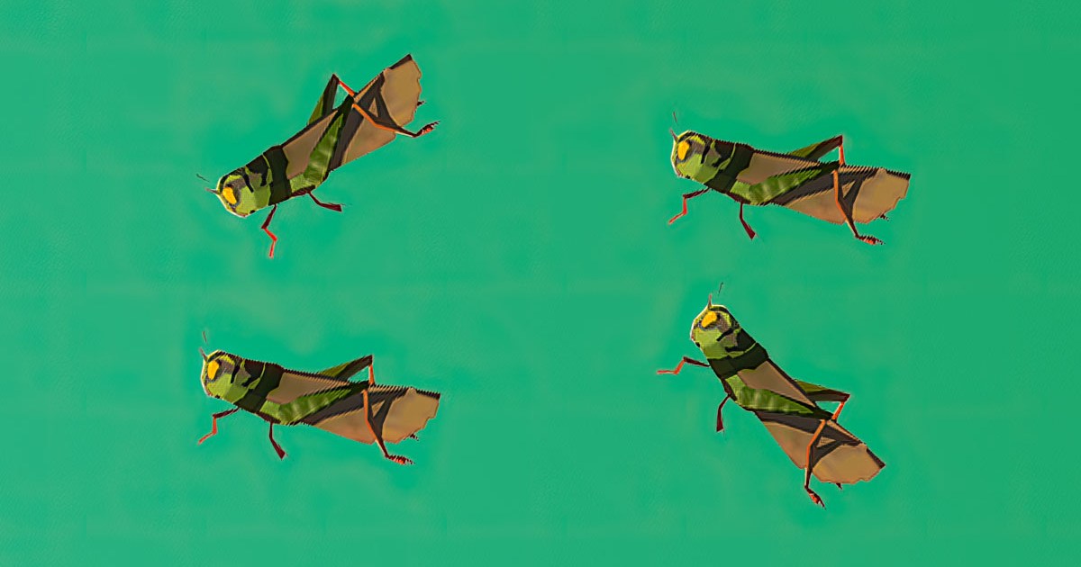 Zelda: Tears of the Kingdom: Is There a Bug-Catching Net? - GameRevolution