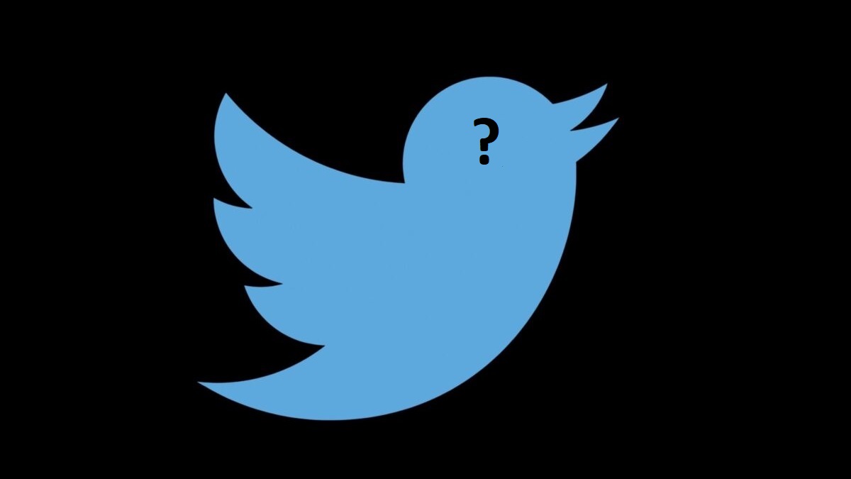 Who Is the New CEO of Twitter & When Is Elon Musk Leaving? - GameRevolution
