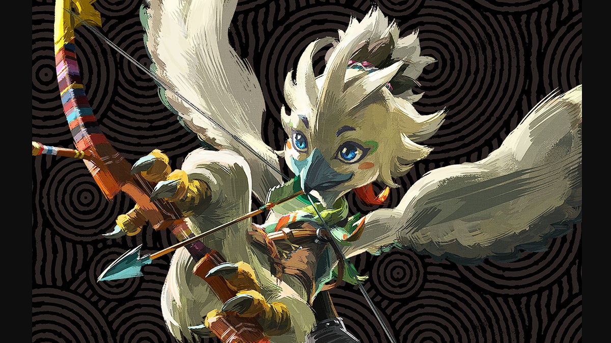 Zelda: Tears of the Kingdom Tulin Missing, Disappeared, Lost During ...