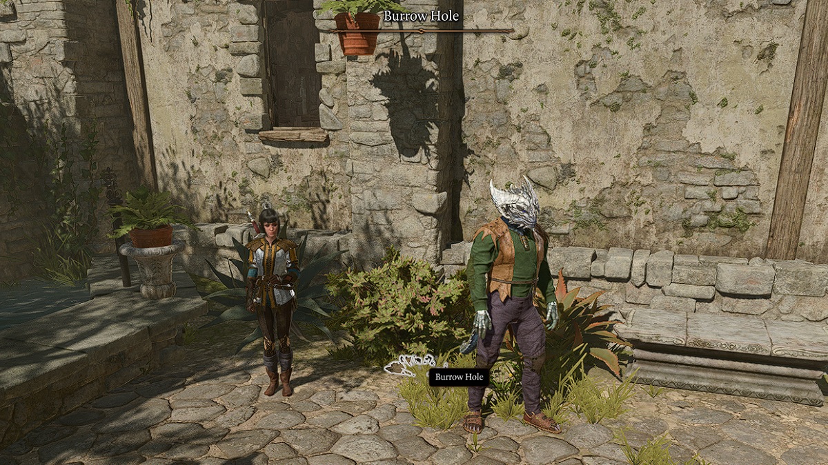 Baldur's Gate 3 Burrow Holes: How to Get Through Tiny Hole - GameRevolution