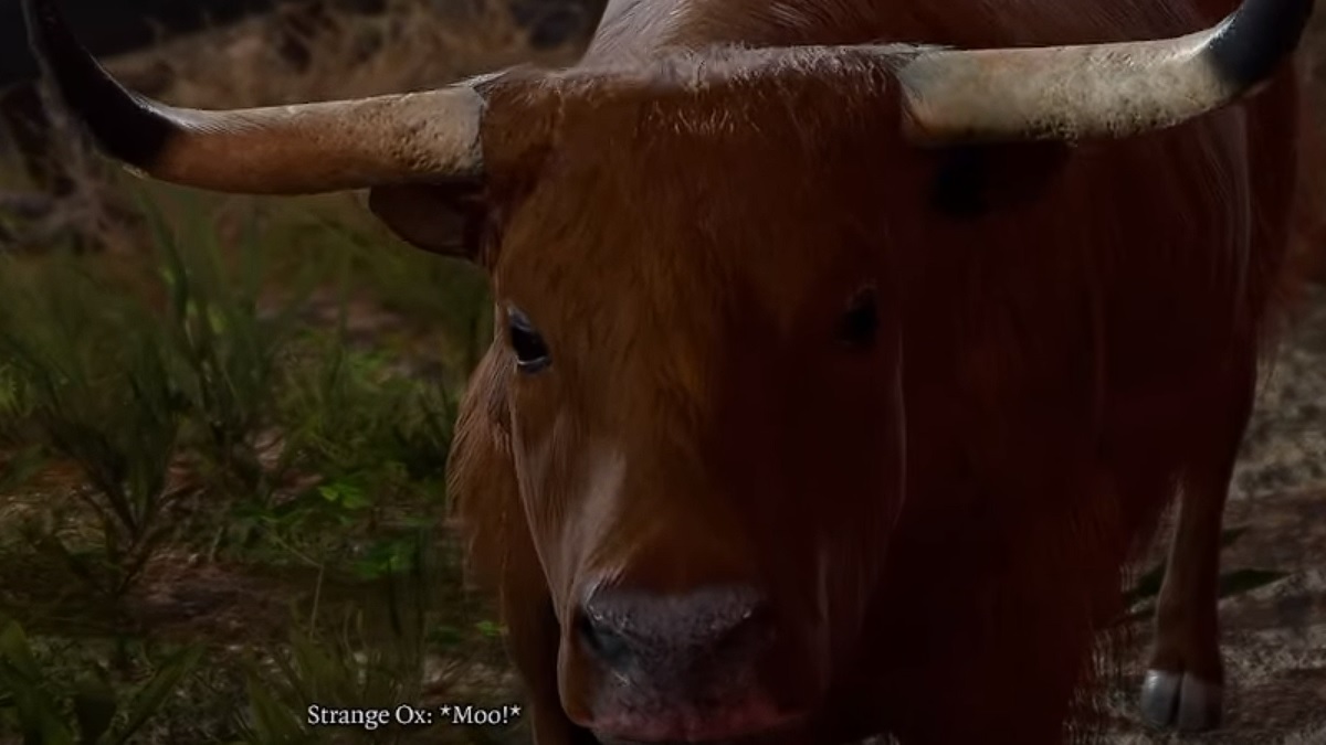 Baldur's Gate 3 Strange Ox: Should You Kill Him or Leave Him Alone ...