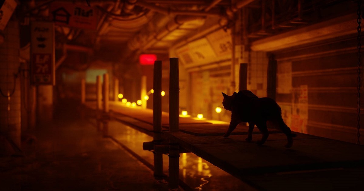 Stray Getting Xbox Physical Release, Plus a Price Drop - GameRevolution