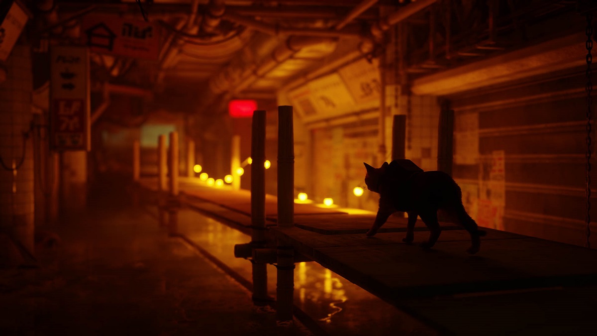 Stray Getting Xbox Physical Release, Plus a Price Drop - GameRevolution