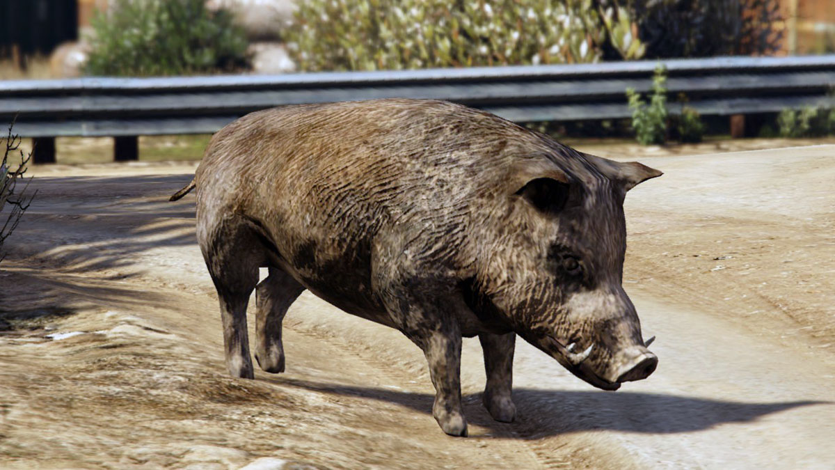 GTA Online Boar Location: Where to Hunt Boars - GameRevolution