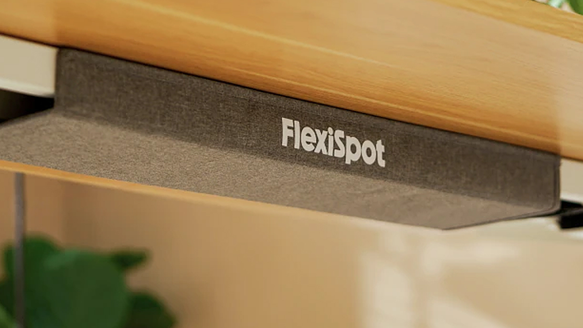 FlexiSpot E9 Standing Desk Review - GameRevolution